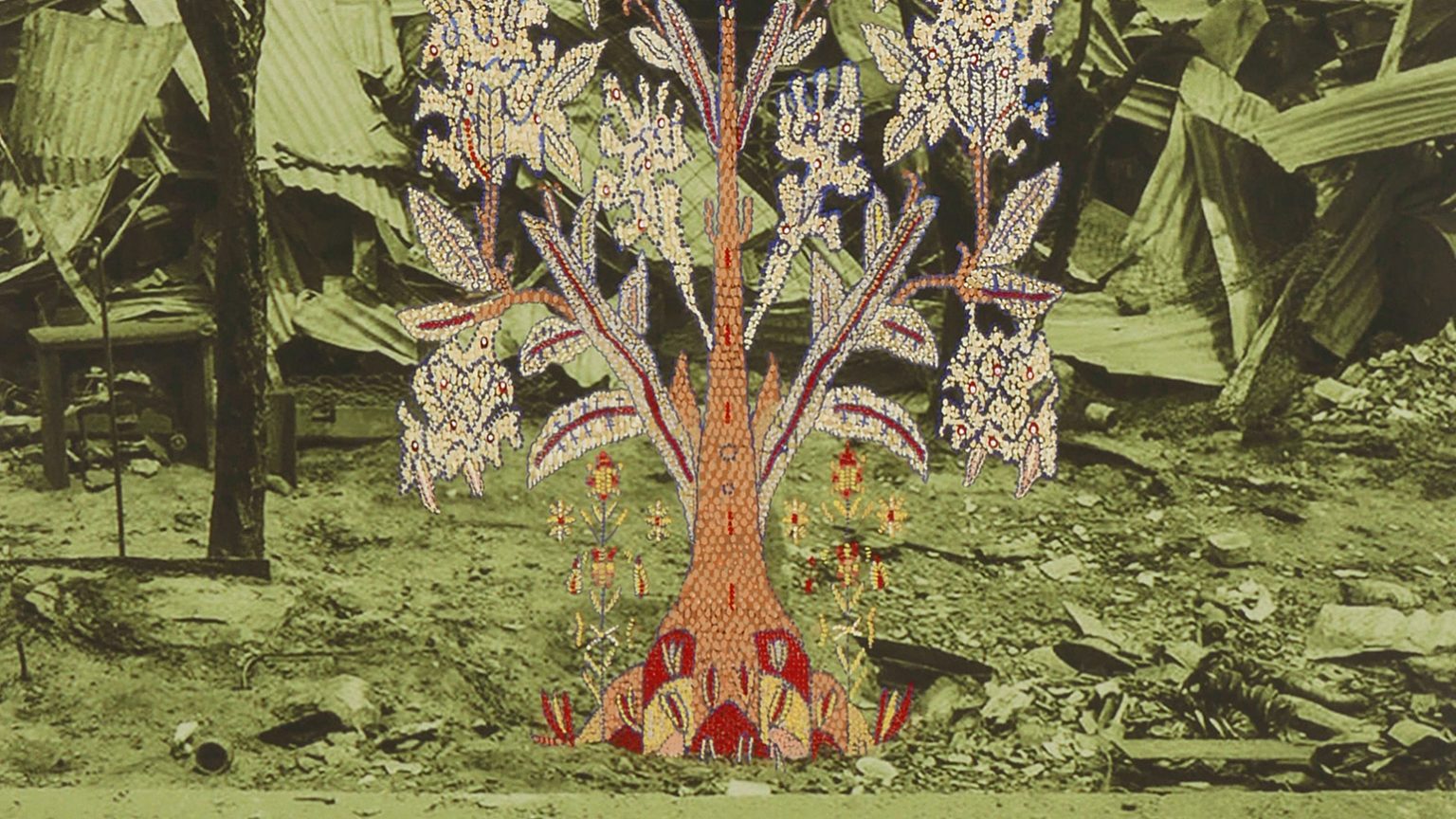 Professor Slavick Exhibits in Auckland, New Zealand