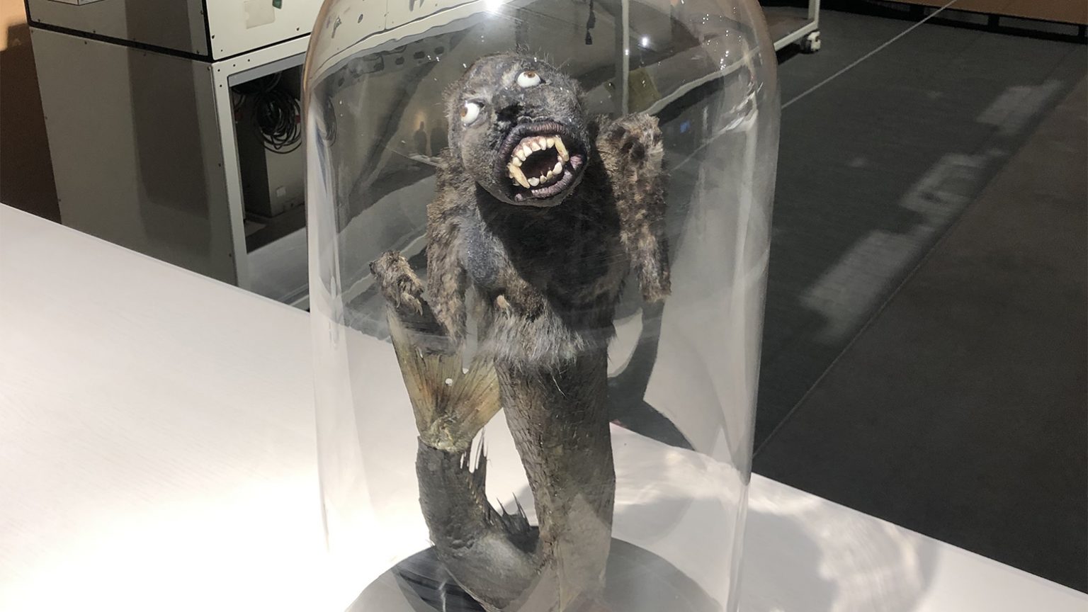 Professor Pell Exhibits in Inaugural MIT Museum Exhibition