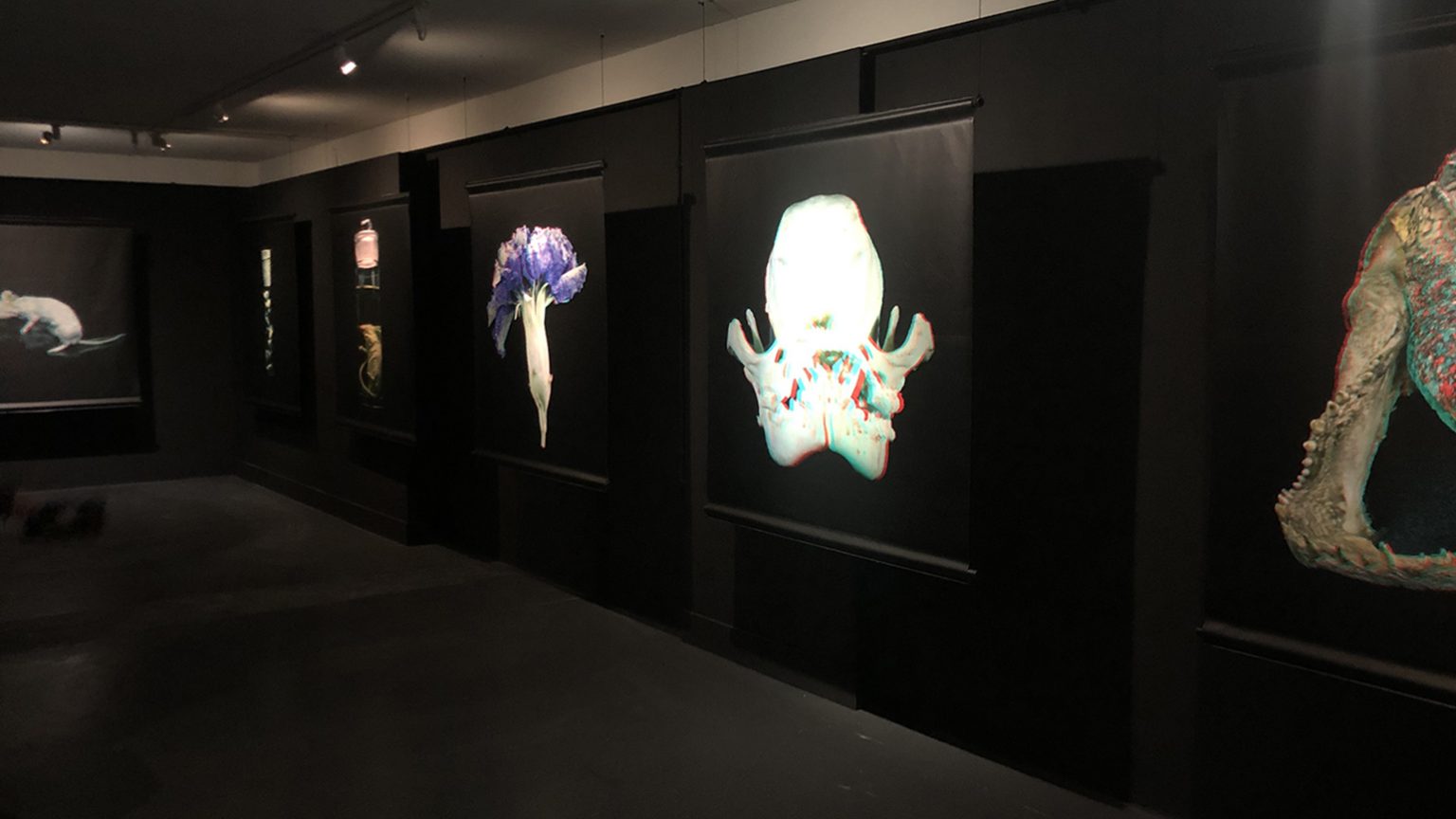 Rich Pell - School of Art | Carnegie Mellon University