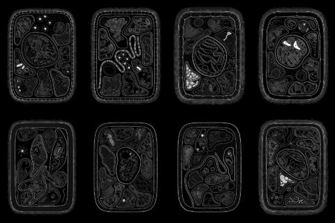 Professor Golan Levin Exhibits in London with Group Show at Gazelli Art ...